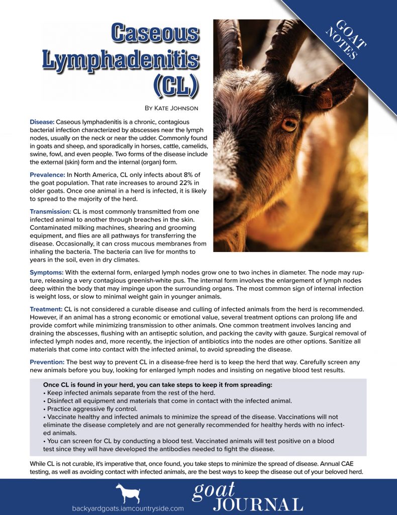 Caseous Lymphadenitis (CL) - Goat Journal
